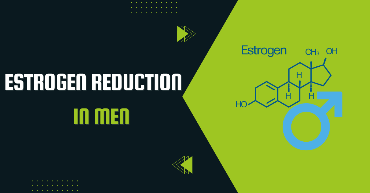 Estrogen In Men