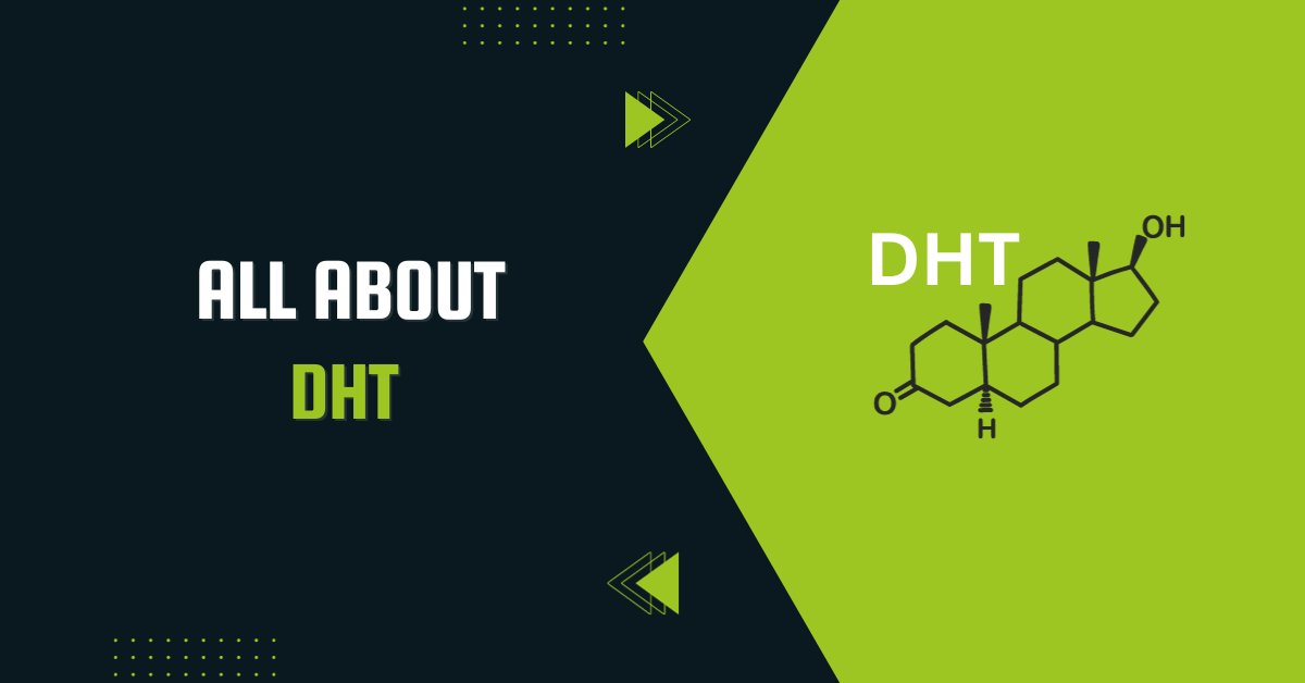 Dihydrotestosterone : All About DHT, Roles, And Side-Effects ...