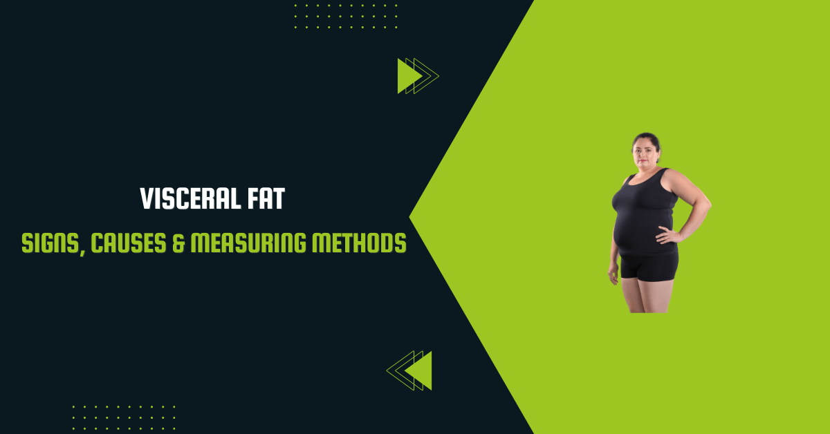 Visceral Fat: Signs, Causes & Measuring Methods - Sustainable Food ...