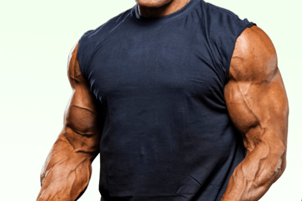 La Bigorexie : Symptômes Et Dangers De La Dysmorphie Musculaire ...