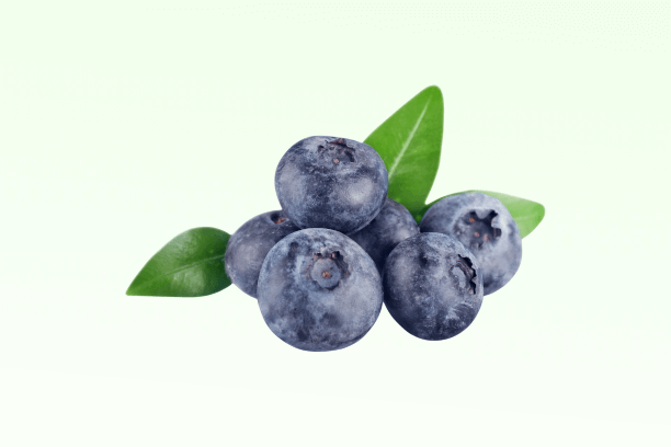 Best Acai Berry Supplements in 2025 - Sustainable Food Trade ...