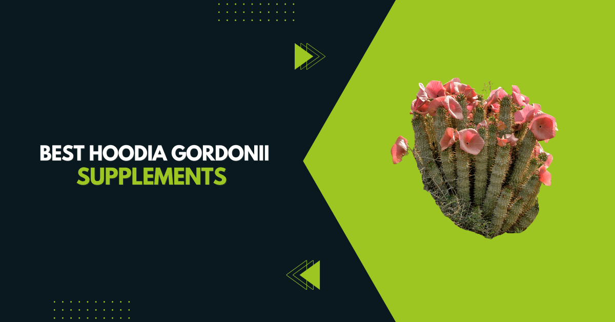 Best Hoodia Gordonii Supplements: Benefits, Side Effects ...